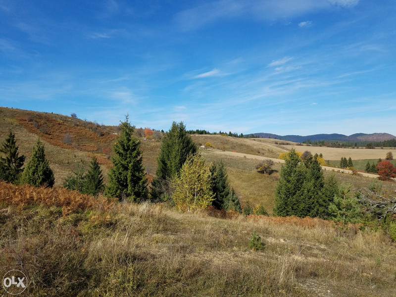 Nisicka visoravan zemljiste - Zemljišta - OLX.ba