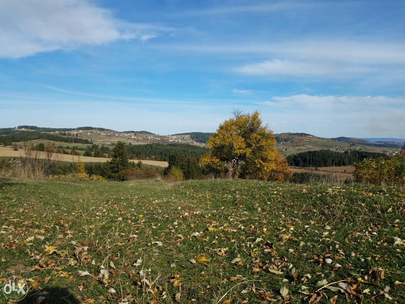 Nisicka visoravan zemljiste - Zemljišta - OLX.ba