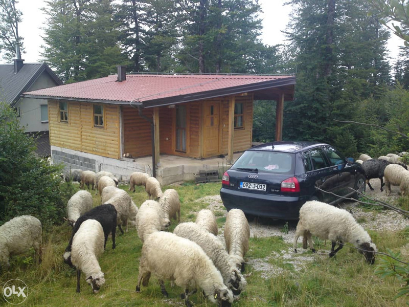 Vikendica - Planina Brusnica ( Vran Kamen ) - Vikendice - OLX.ba