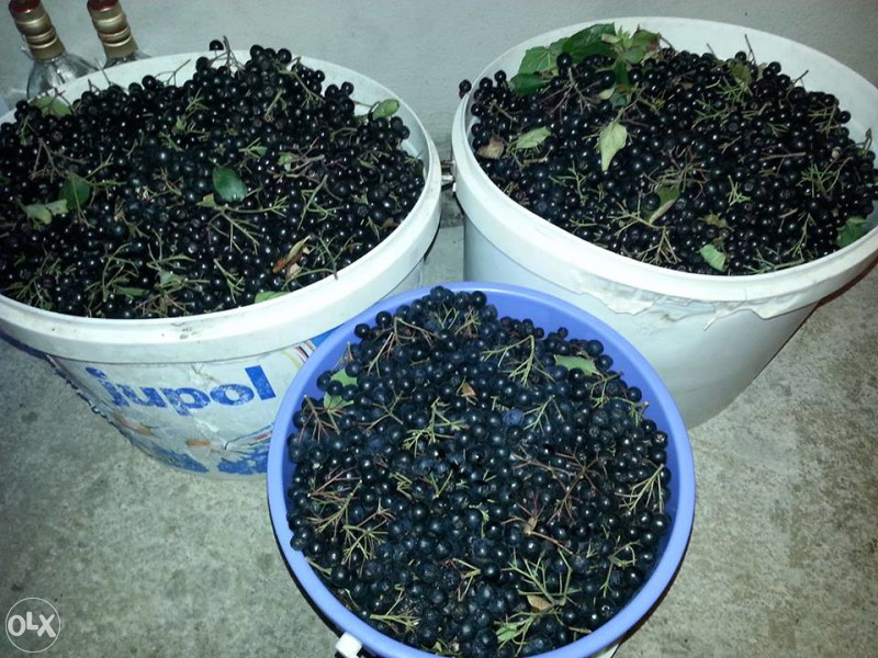 Sok od aronije - Biljni preparati - OLX.ba