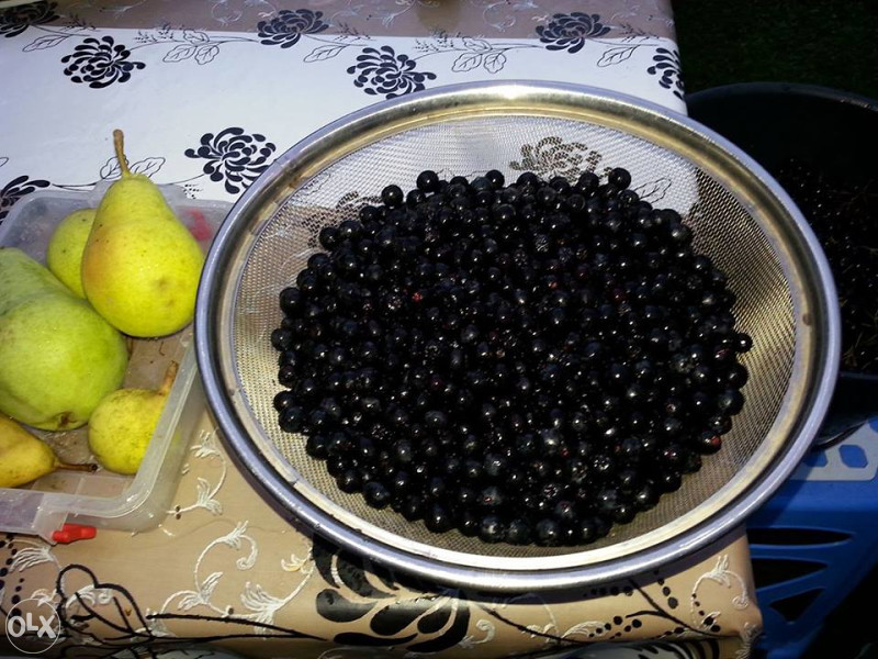 Sok od aronije - Biljni preparati - OLX.ba